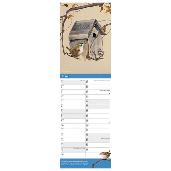 Garden Birds By P. Pickering Slim Calendar 2026 - Diabetes UK Shop
