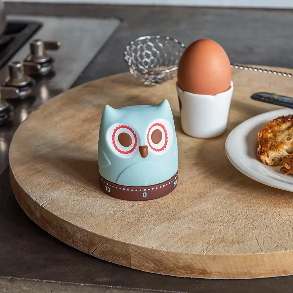 Wind-up Kitchen Timer - Owl - Diabetes UK Shop