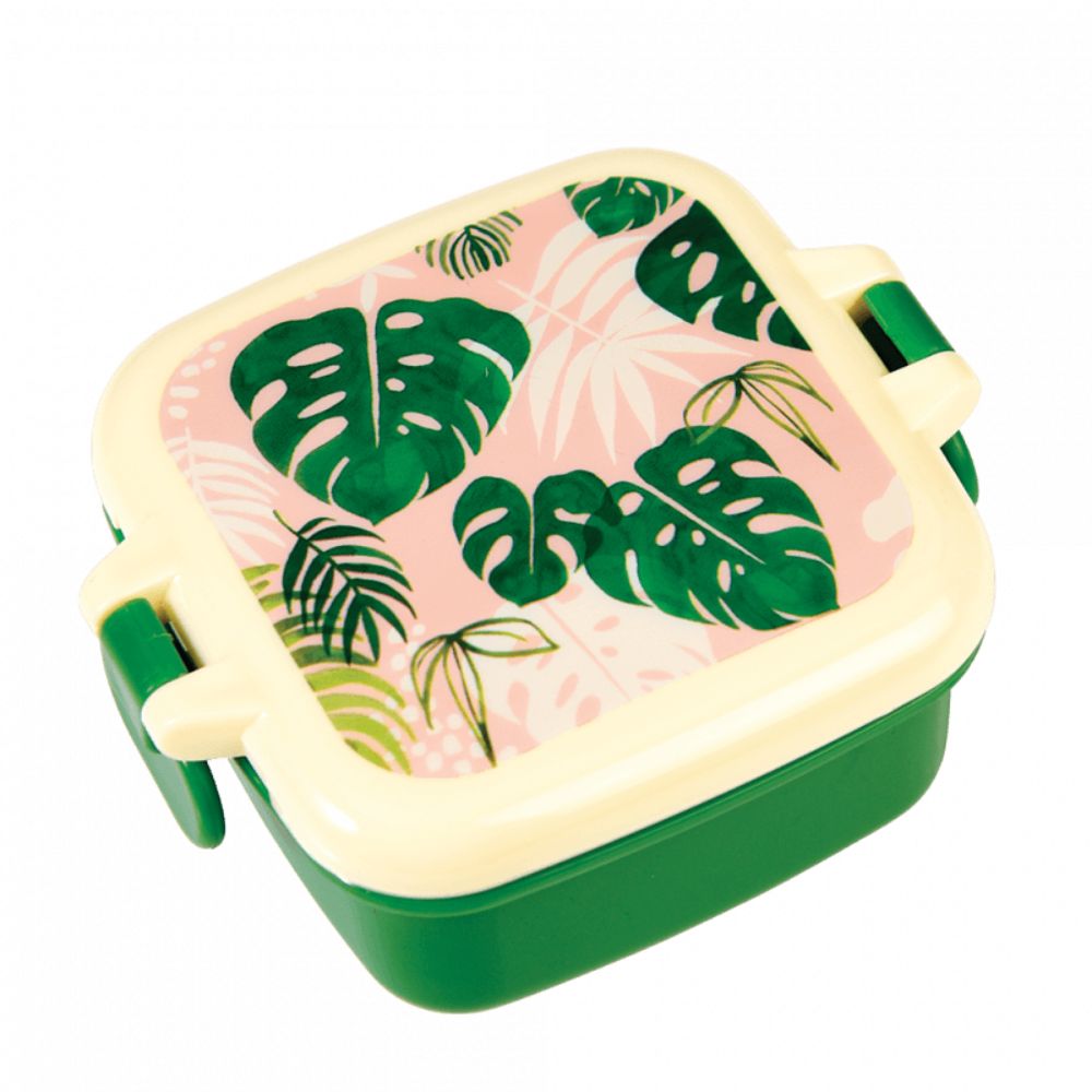 Tropical Palm Mini Snack Pot - Diabetes UK Shop