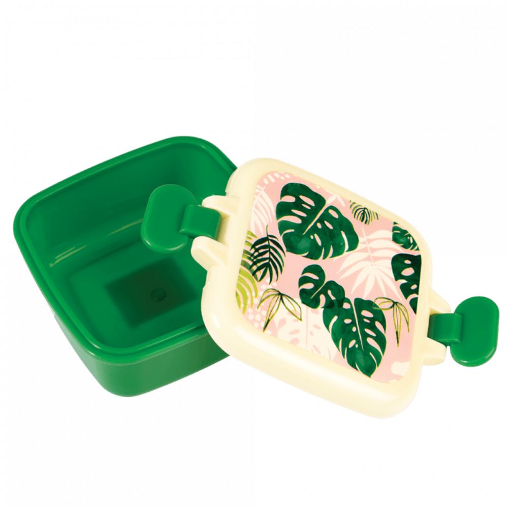 Tropical Palm Mini Snack Pot - Diabetes UK Shop